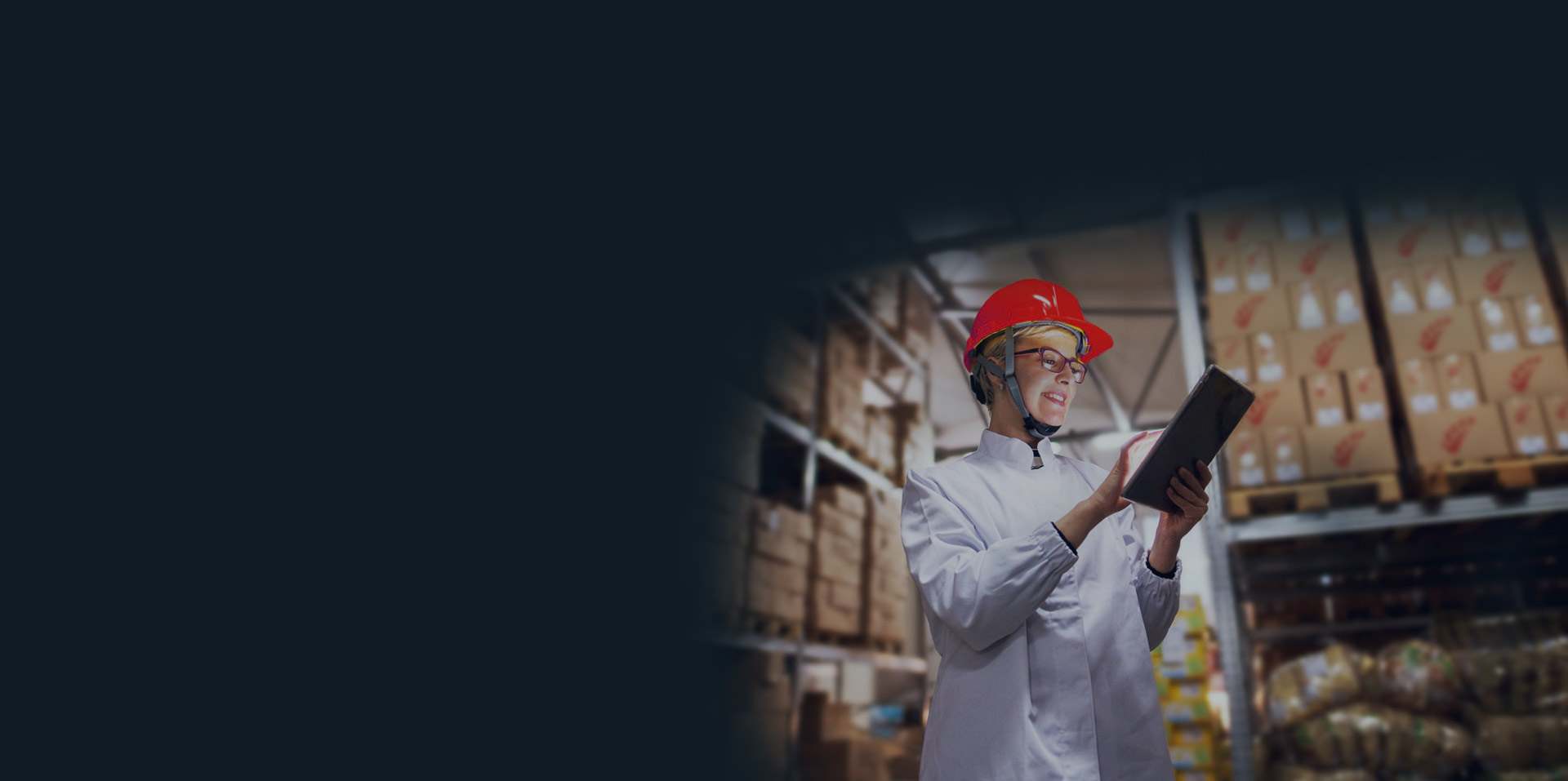 Velocity Logistics – Delivering smarter, faster